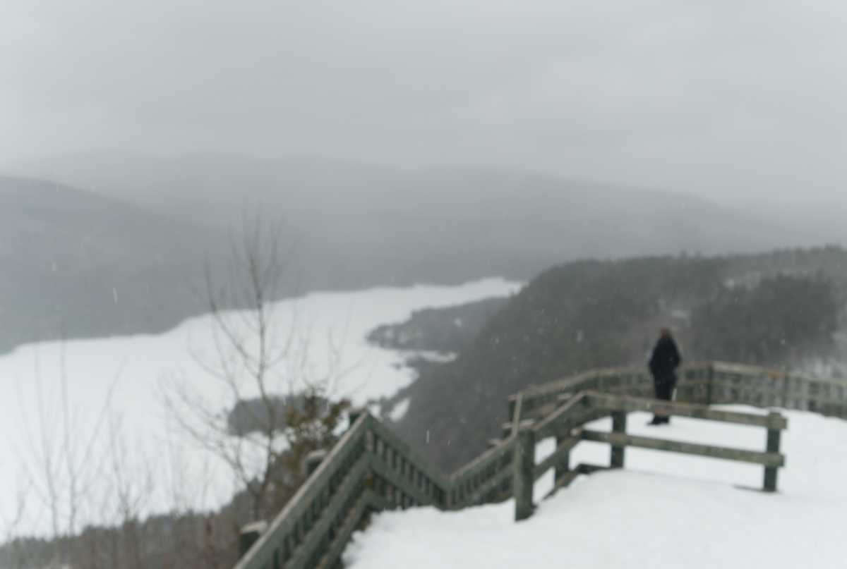 Certifying Experience. Refusing Experience. | Tim Murray-Browne